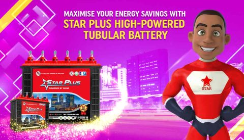 Maximize Energy Savings with Star Plus Tubular Battery